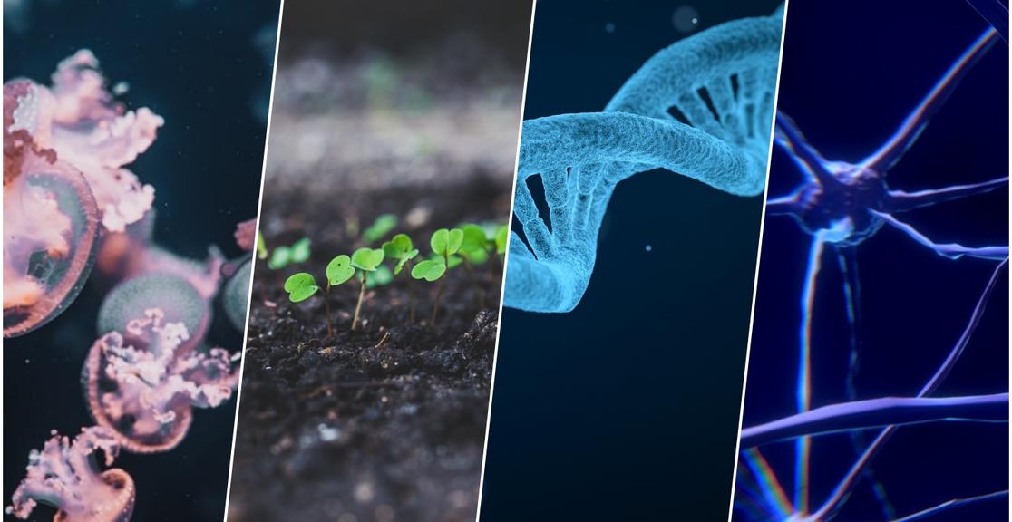 Events | EEBio Programme Grant