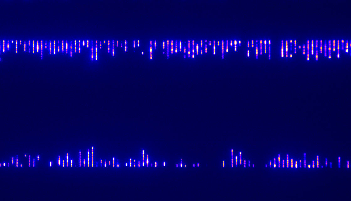 Home | EEBio Programme Grant